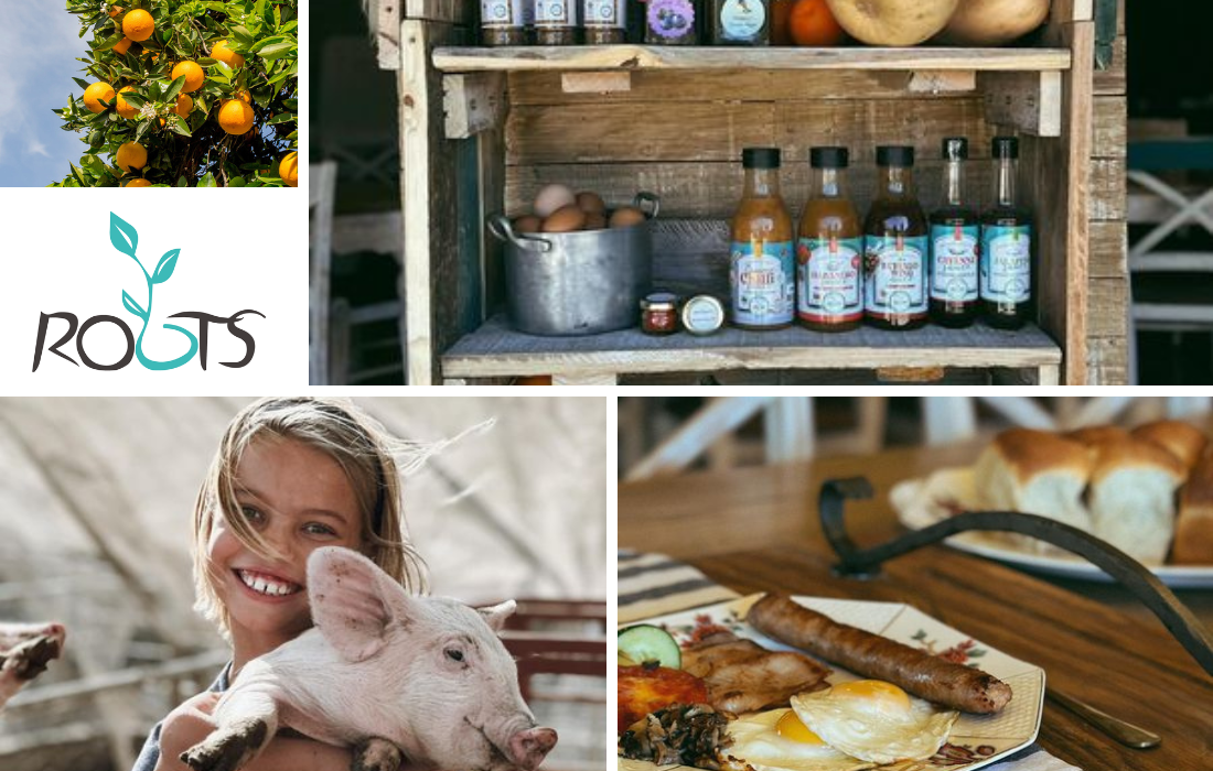 Roots ~ Farm | Growth | Life – Get It All Namibia